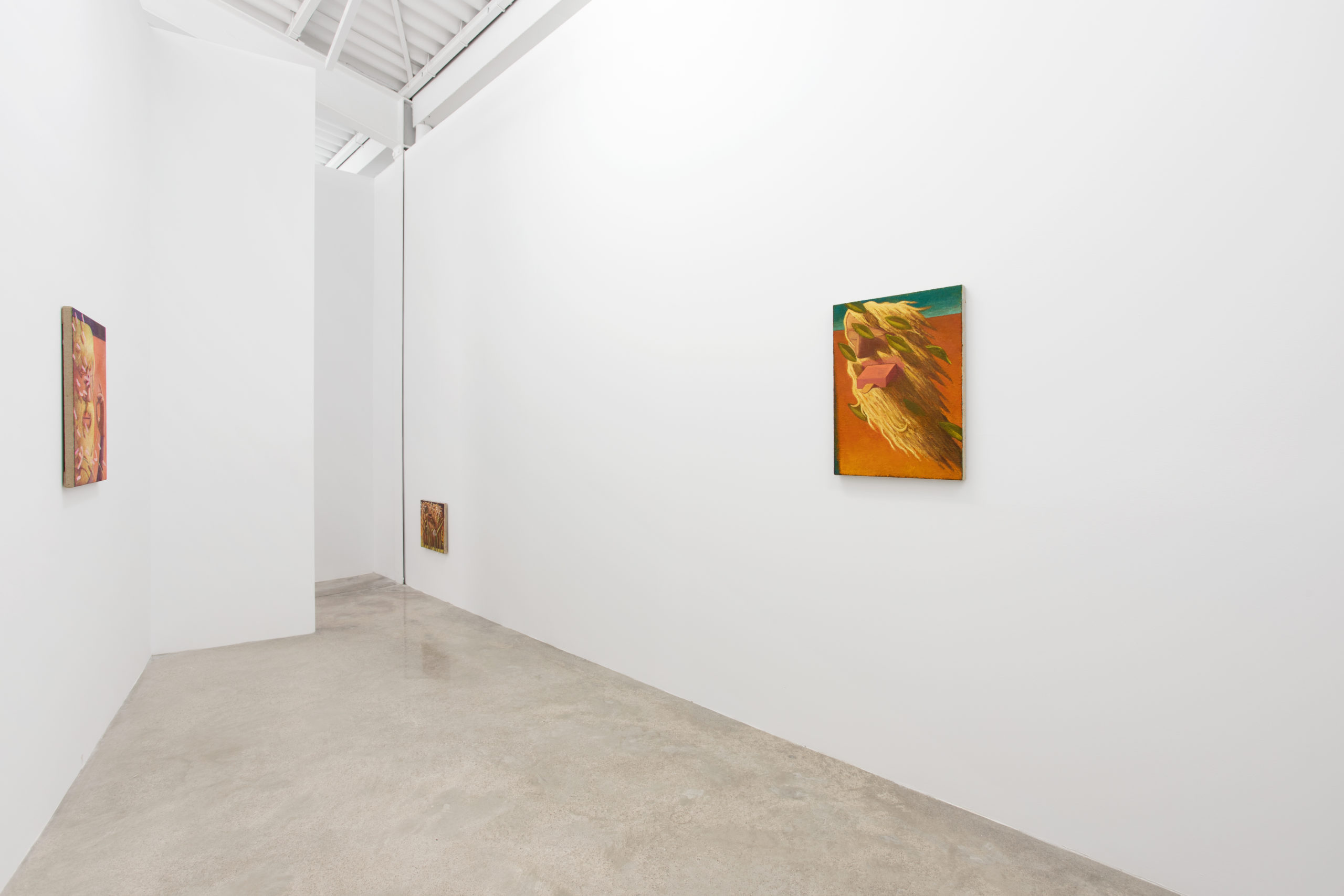 Nat Meade "Bad Luck Buddy" : Une collection idyllique à la galerie L21