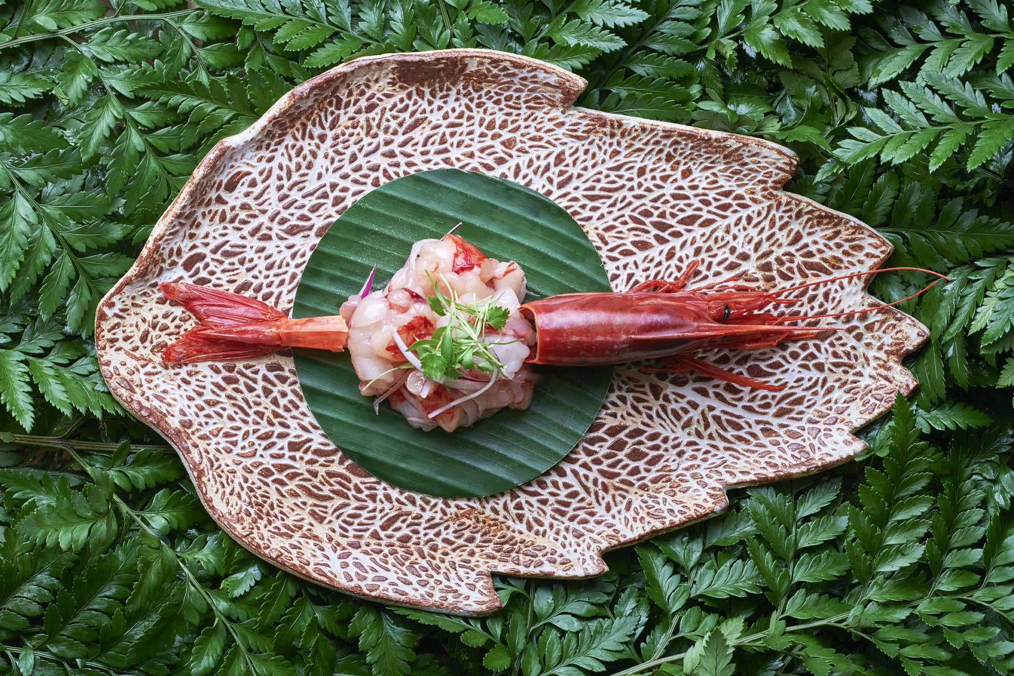 Amazonico London : L'expérience culinaire exotique par excellence